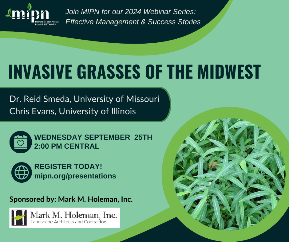 MIPN Presentations - MIPN