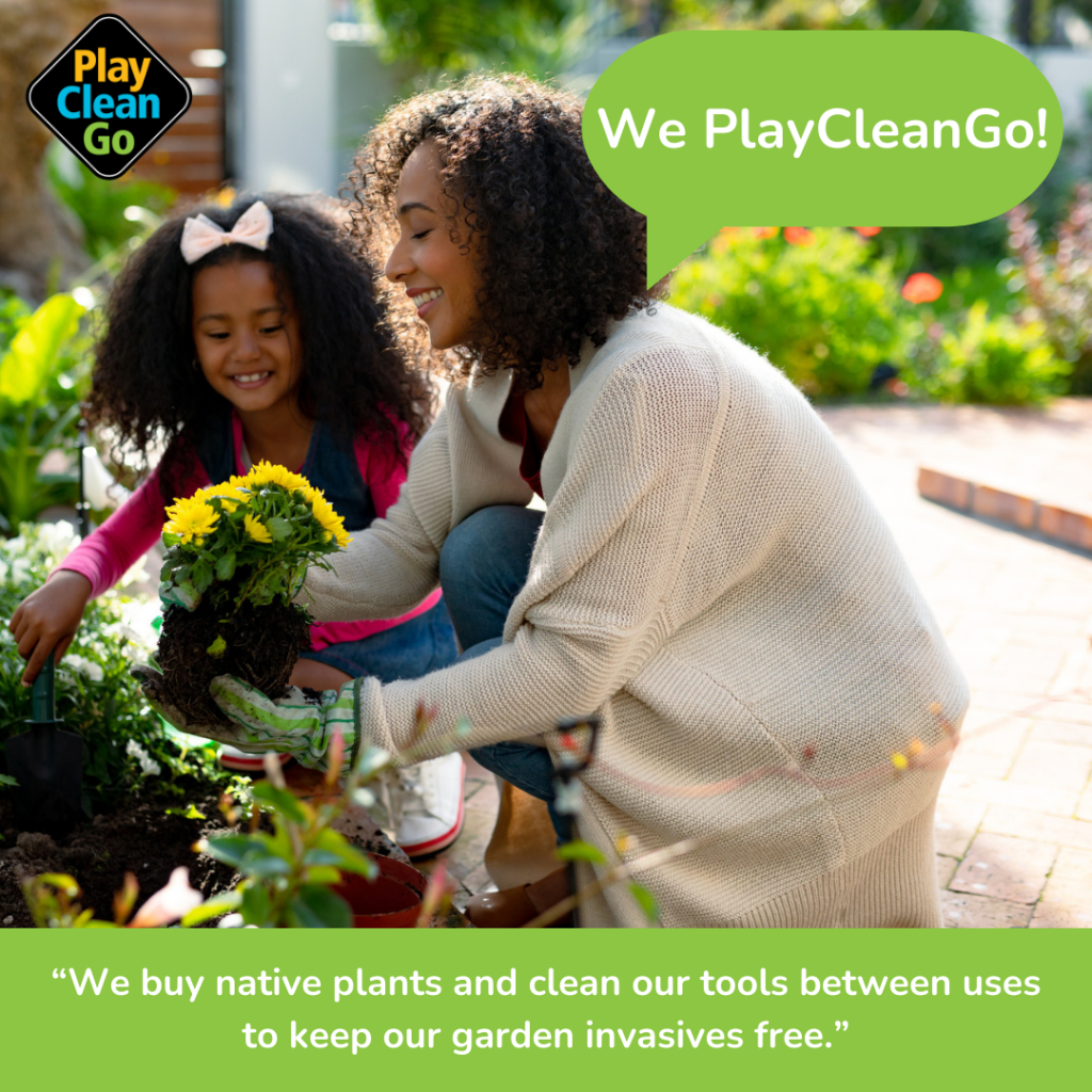 Prevent & Detect - MIPN