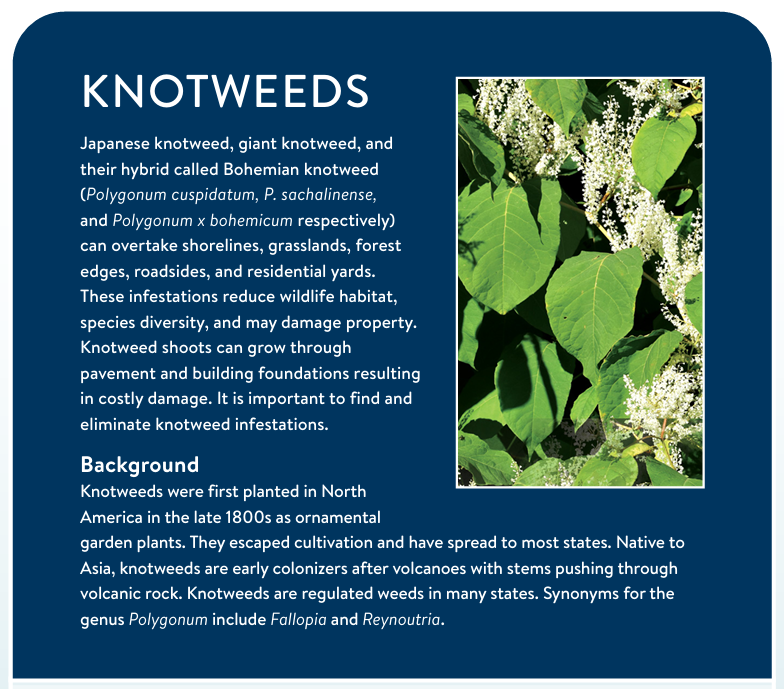 Partner Publications - MIPN