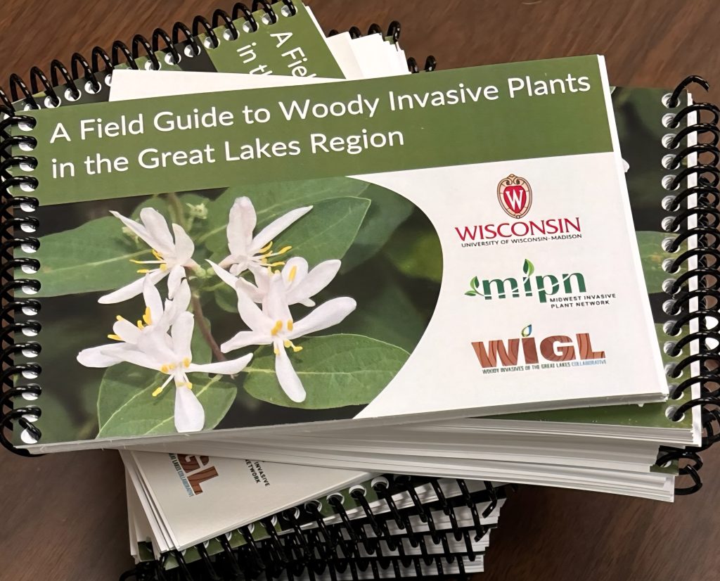 MIPN Publications - MIPN